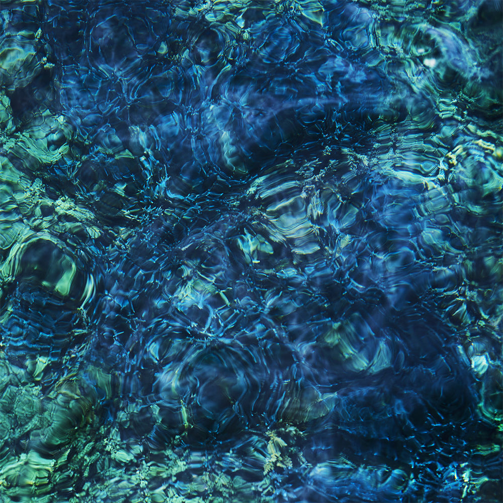 Luminescent Creatures (Vinyle) – Victor Victor Victor